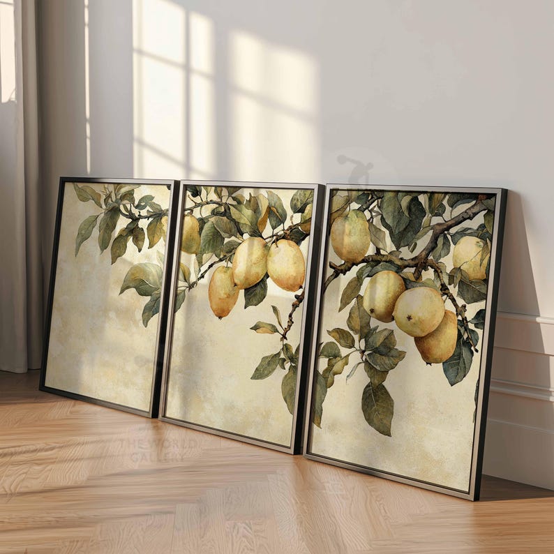 Vintage Lemon Tree Prints, Rustic Botanical Wall Art, Set of 3 - Etsy