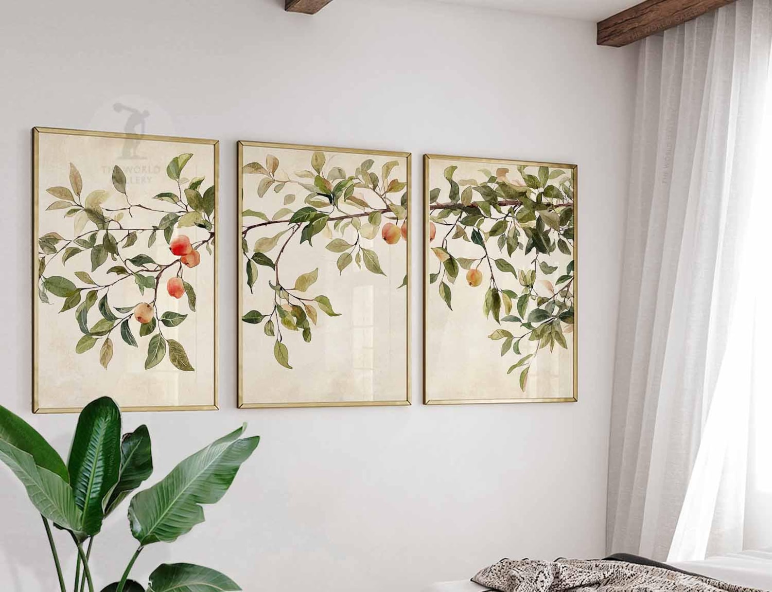 Vintage Apple Tree Set of 3 Prints, Rustic Decor, Vintage Fruit Wall ...
