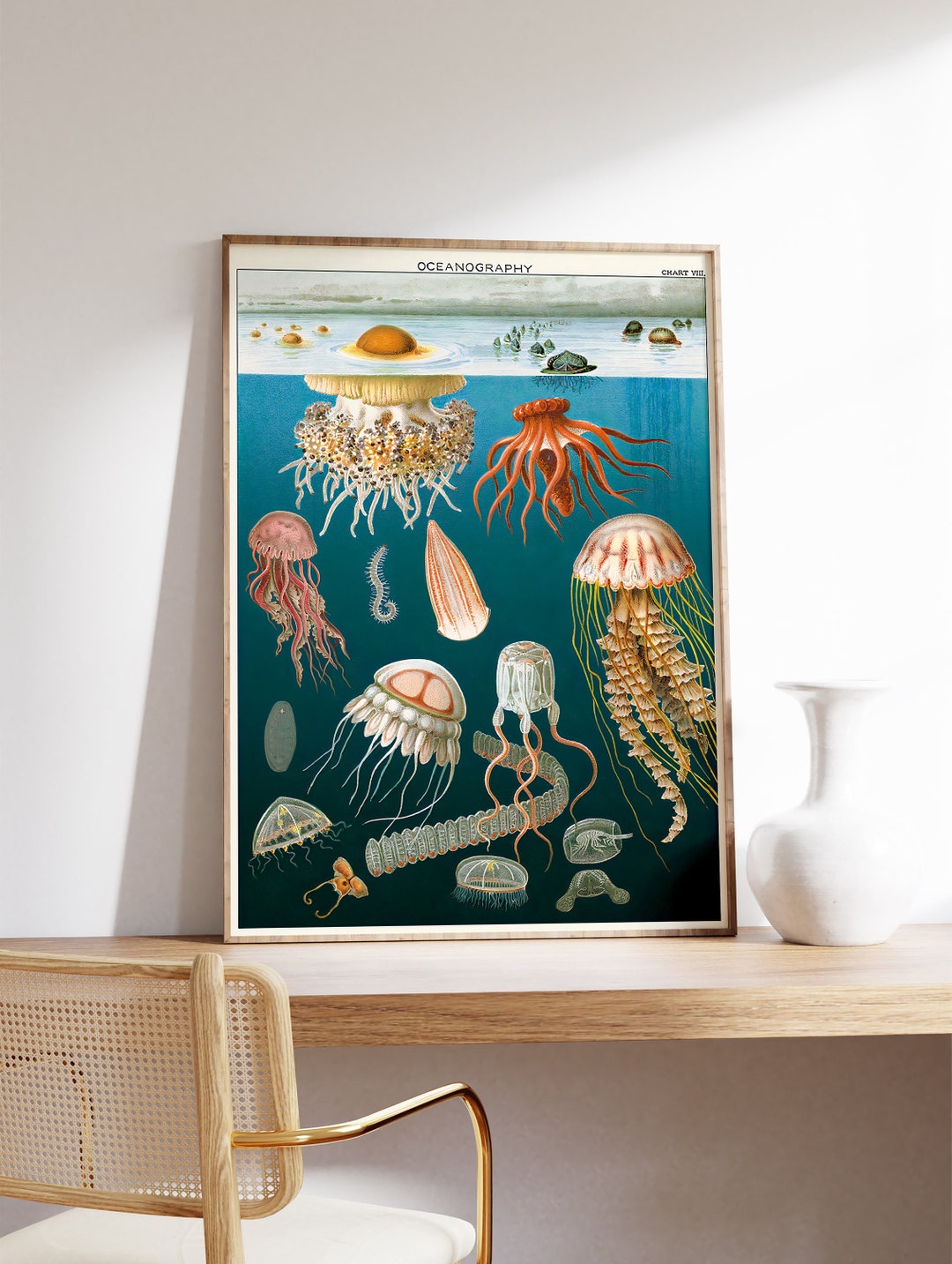 Vintage Jellyfish Poster, Ocean Art, Wildlife Print, Fish Art, Nature ...