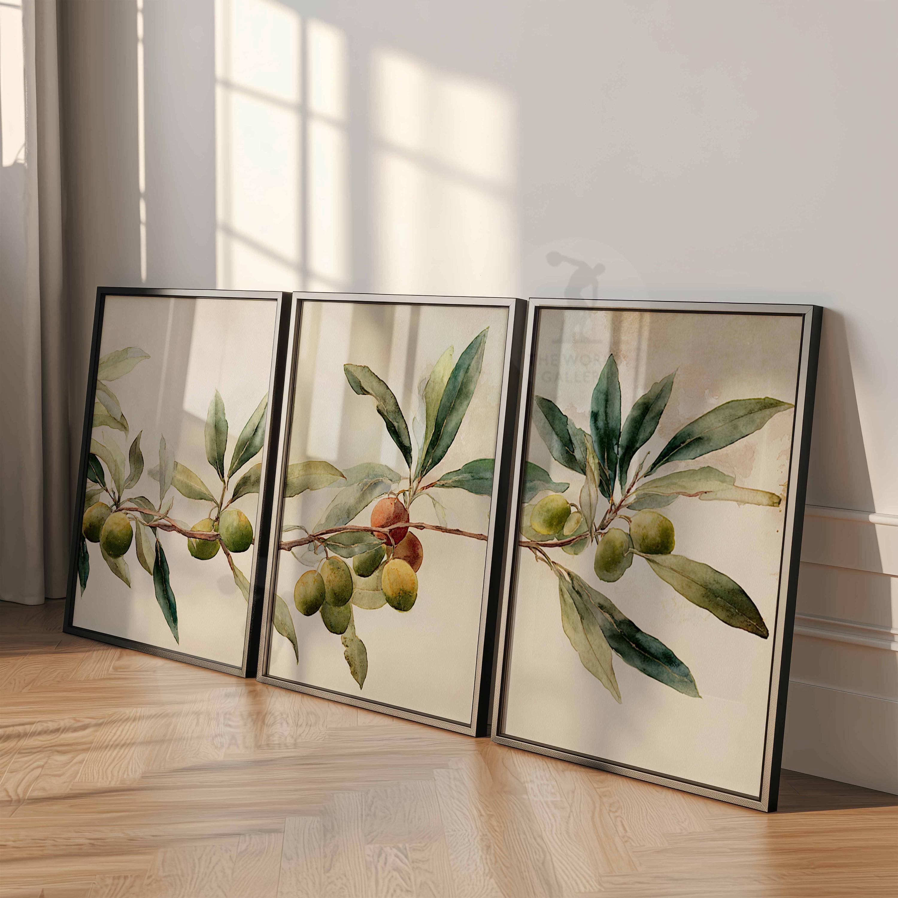 Olive Tree Wall Art Set of 3, Botanical Branch Poster Prints ...