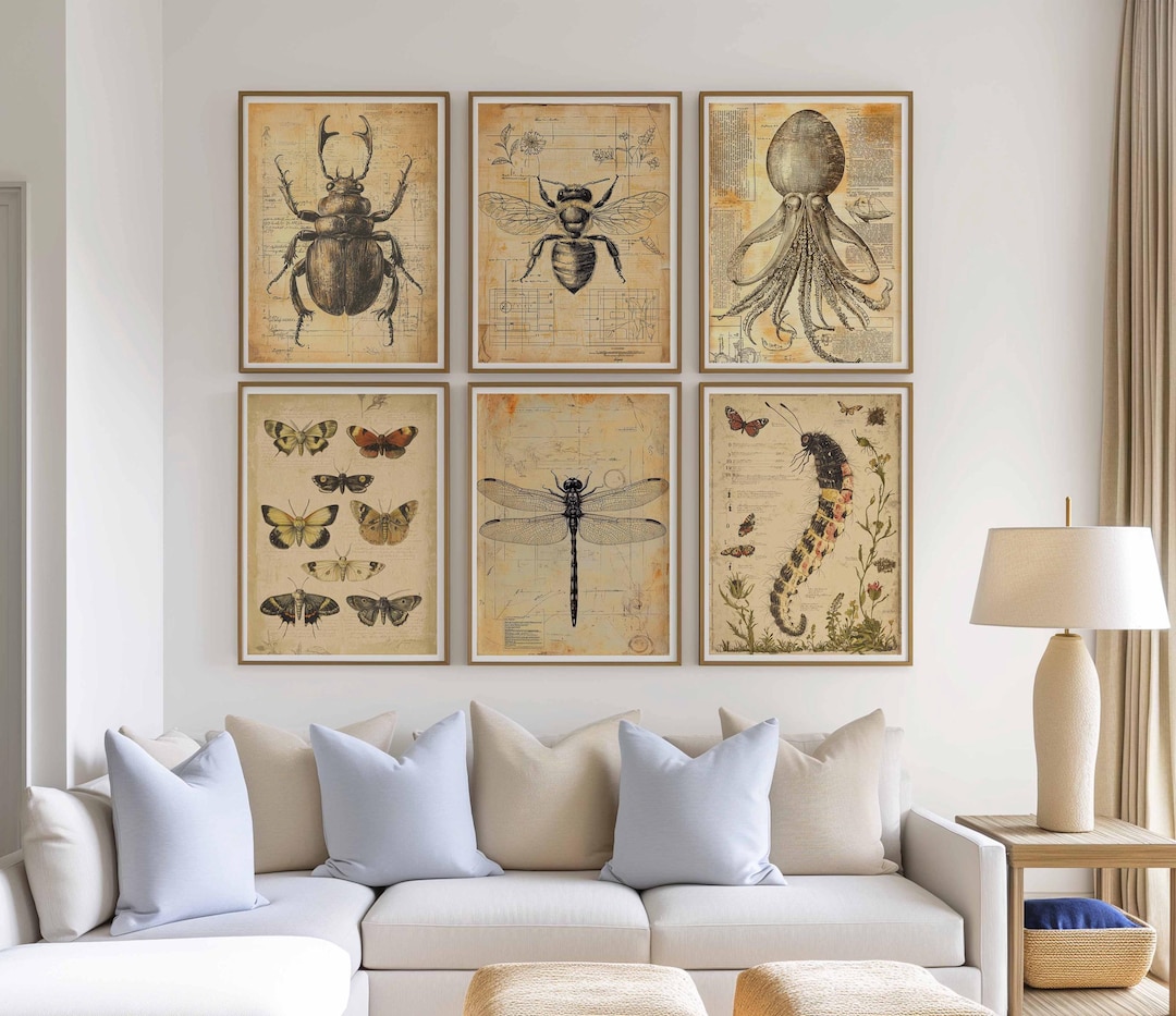 Set of 6 Vintage Animal Prints, Vintage Animal Posters, Animal Art ...