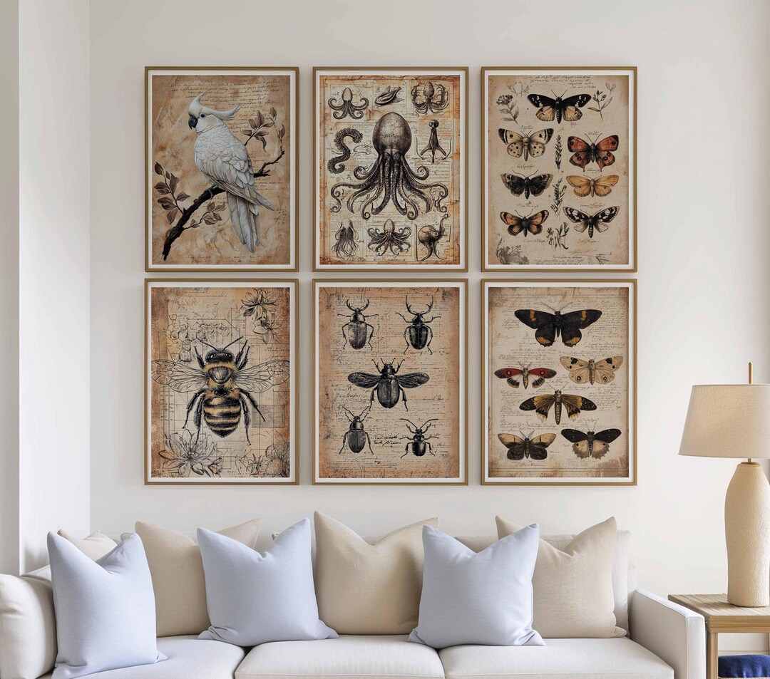 Set of 6 Vintage Animal Prints, Vintage Animal Posters, Animal Art ...