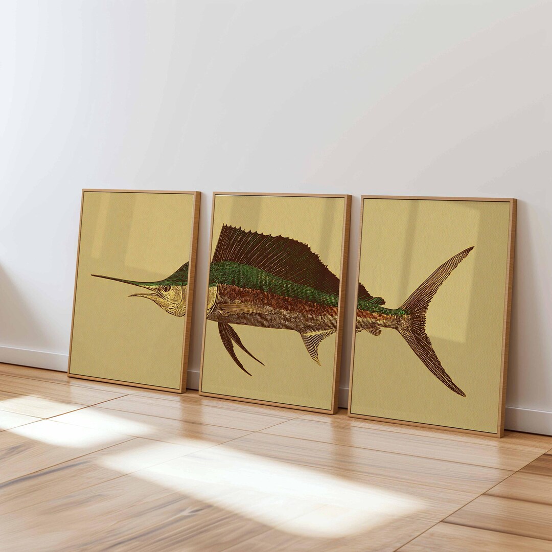 Sailfish Wall Art Set of 3, Vintage Ocean Fish Prints in Green and ...
