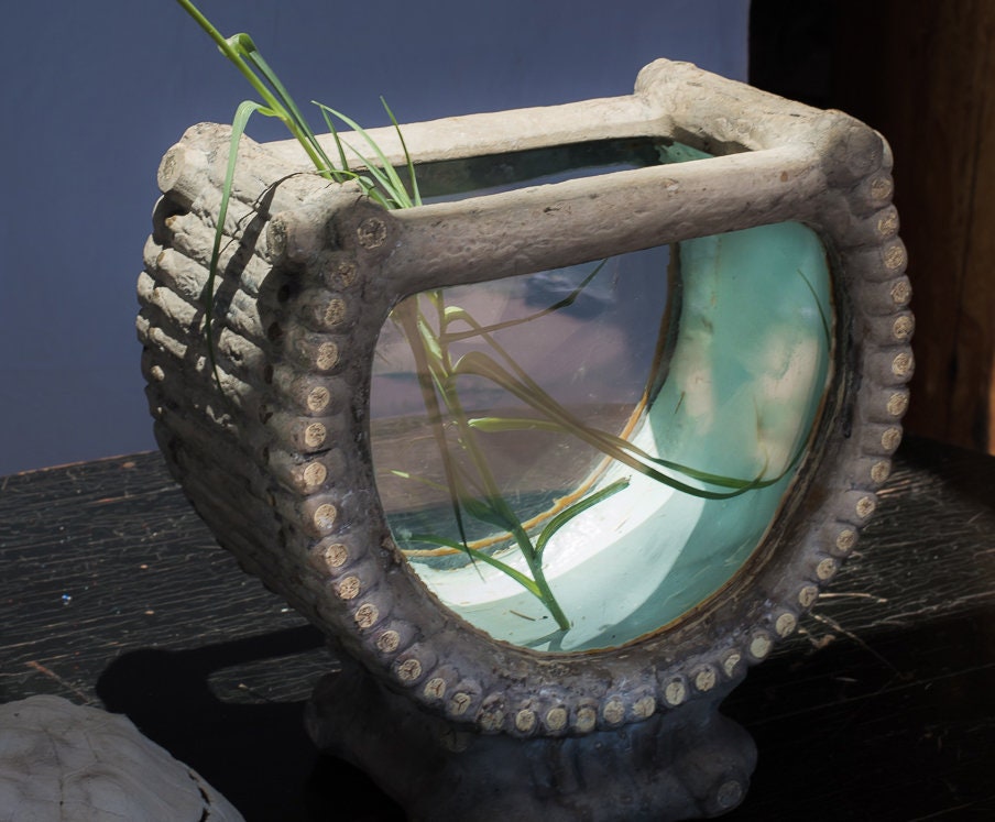 Victorian Plaster & Glass Terrarium/fishbowl - Etsy