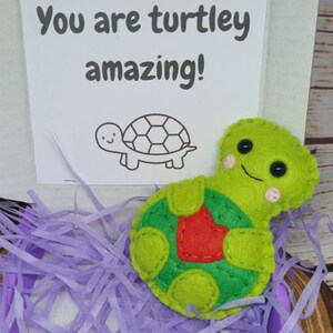 Turtle Letterbox Gift, You Are Amazing Felt Plush, Handsewn Pocket Hug ...