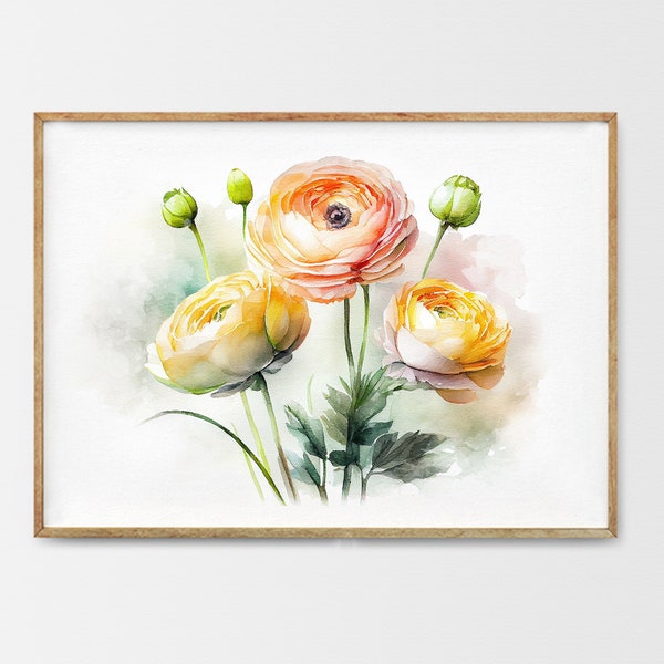 Ranunculus Art - Etsy