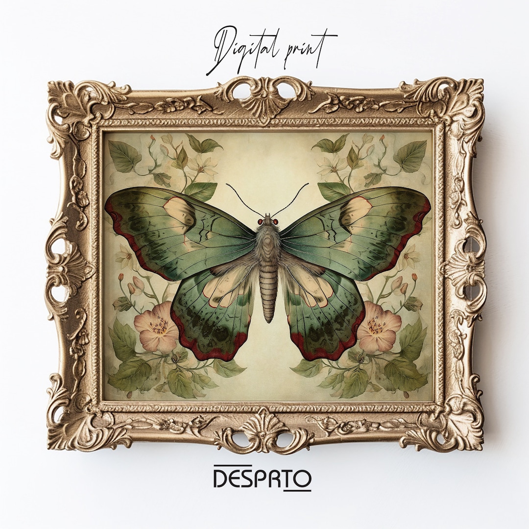 Boho Sage Green Vintage Butterfly Print, Moody Moth Wall Decor ...