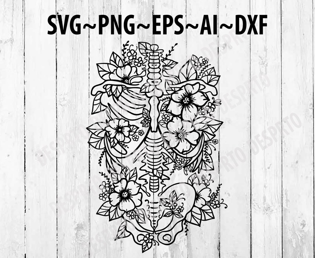 Human Skeleton Svg Floral Ribs Svg Pelvis Svg Bones Ai Torso Svg Human ...