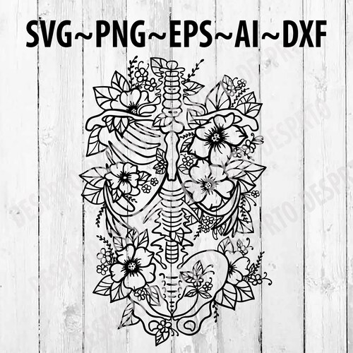 Human Skeleton Svg Floral Ribs Svg Pelvis Svg Bones Ai Torso | Etsy