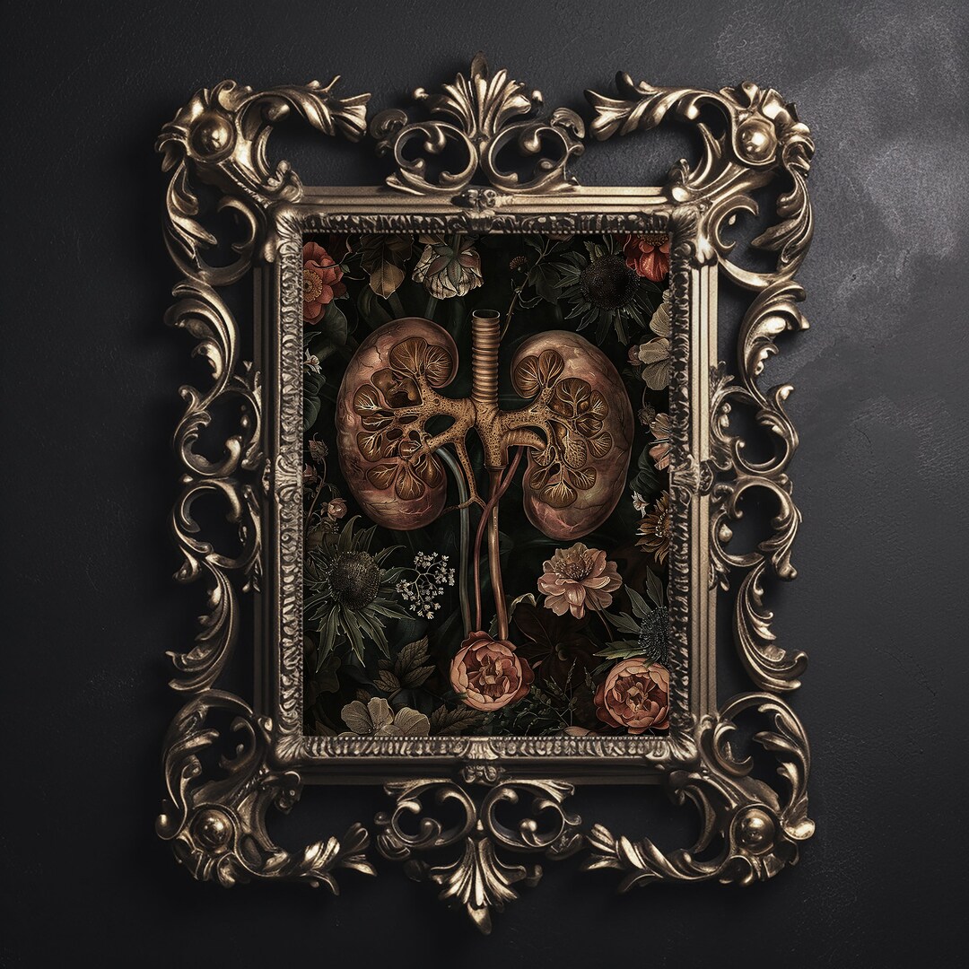 Human Kidney With Flowers Print, Anatomy Gothic Painting, Floral Kidney ...