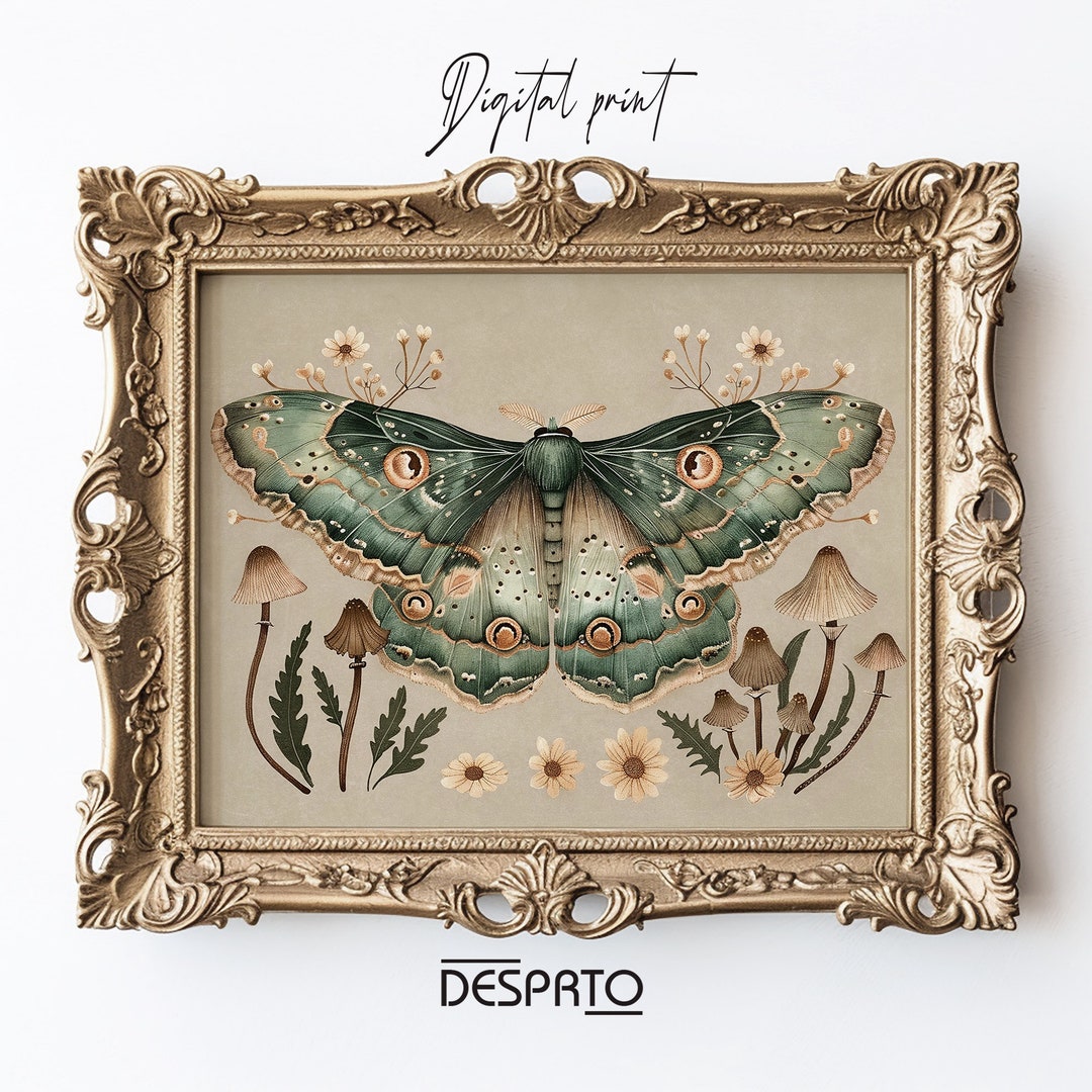 Boho Sage Green Vintage Butterfly Print, Moody Moth Wall Decor ...