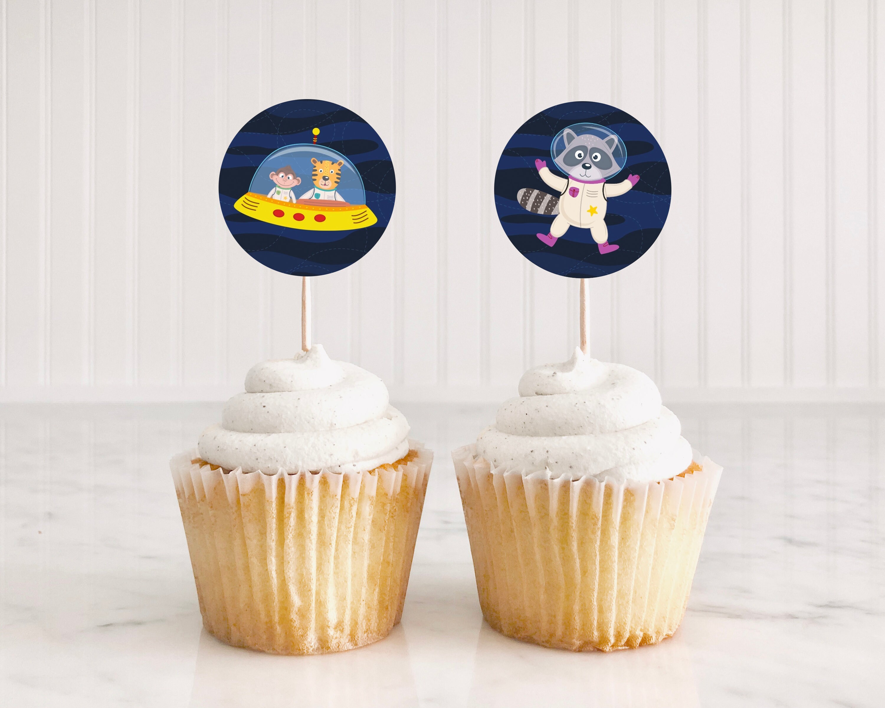Outer Space Birthday Cupcake Toppers, First Trip Around the Sun Cookie ...