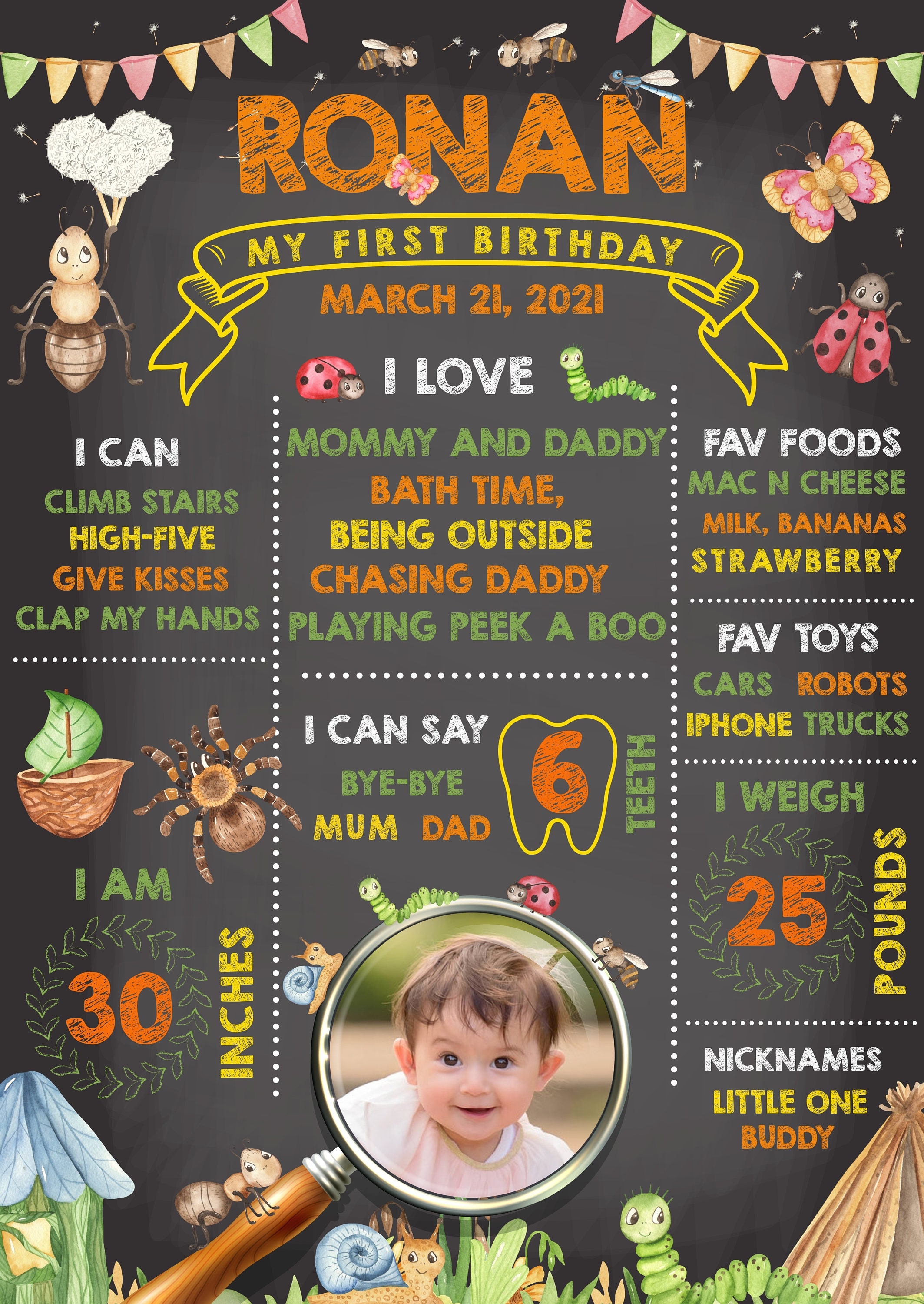 BUGS Birthday Milestone Baby Board to Edit Download and Print - Etsy