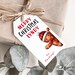 Editable Gingerbread Man Gift Tags Editable Christmas Gingerbread Man ...