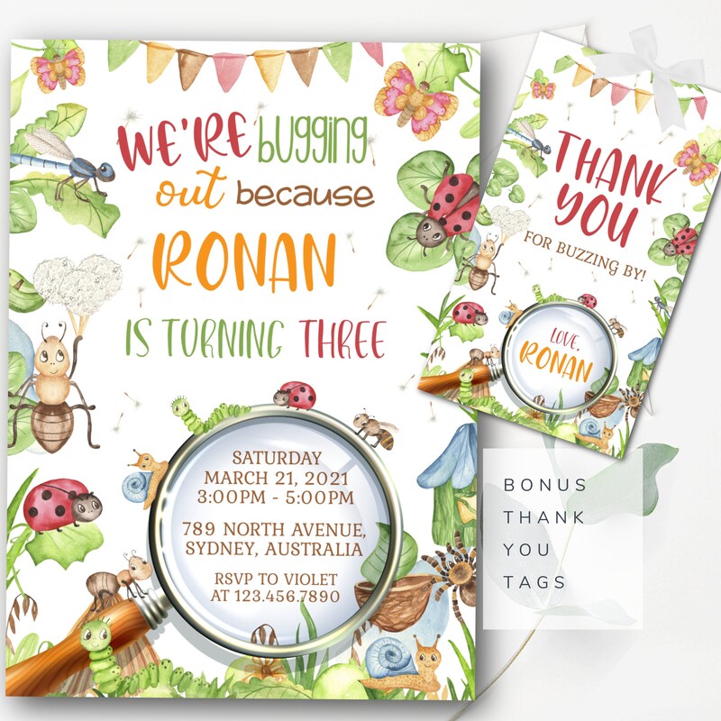 Bug Birthday Party - Etsy