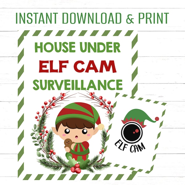 House Elf Poster - Etsy