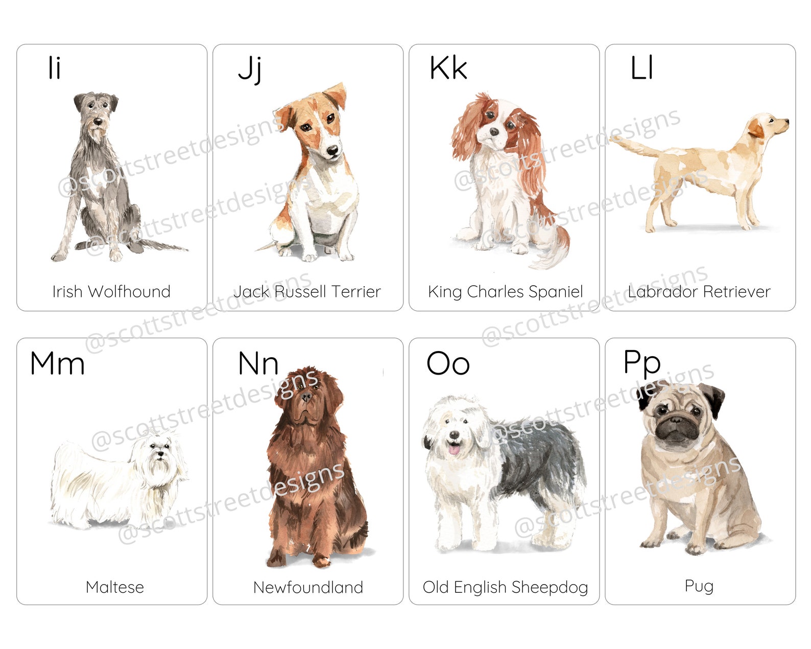 Alphabet Flashcards Printable Dog Breed Flashcards - Etsy
