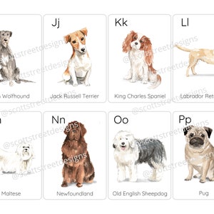 Alphabet Flashcards Printable, Dog Breed Flashcards, Montessori ...