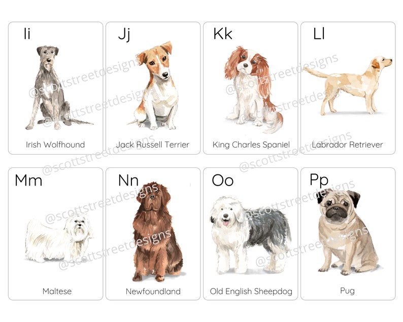 Alphabet Flashcards Printable Dog Breed Flashcards - Etsy