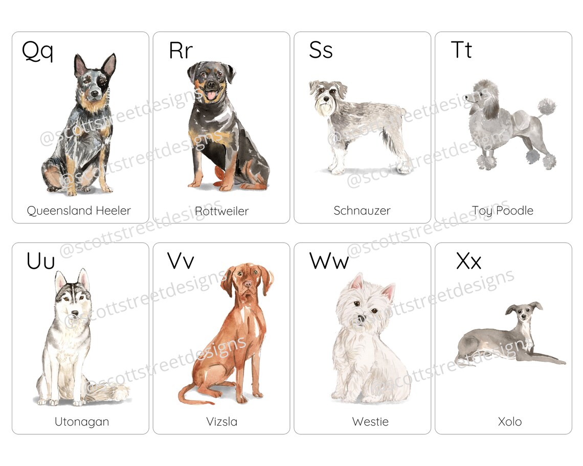 Alphabet Flashcards Printable Dog Breed Flashcards - Etsy