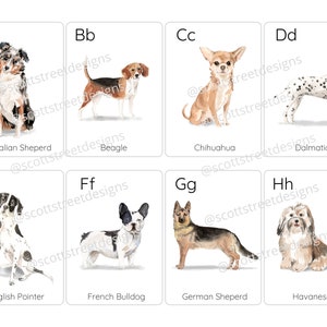 Alphabet Flashcards Printable, Dog Breed Flashcards, Montessori ...