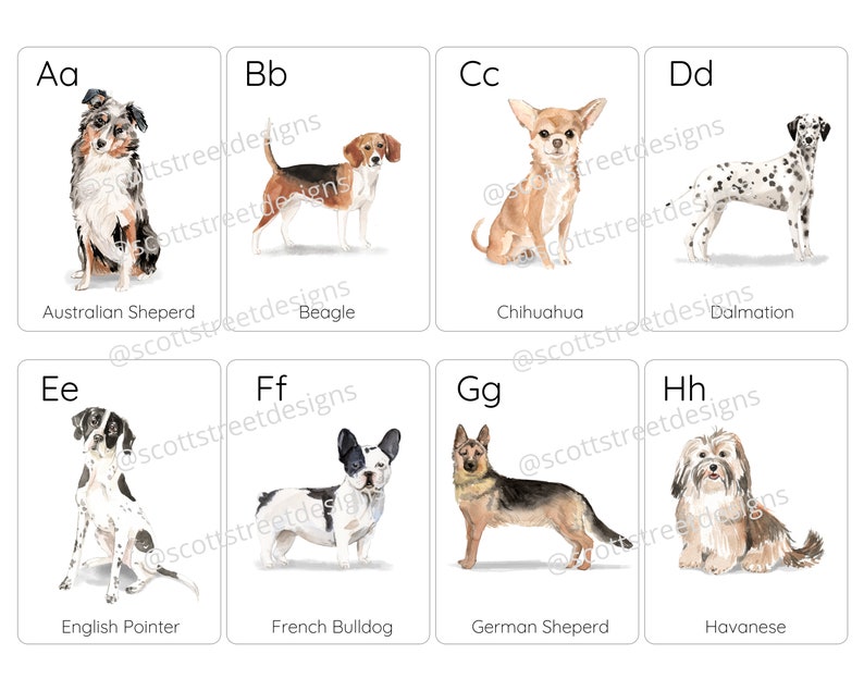 Alphabet Flashcards Printable Dog Breed Flashcards - Etsy