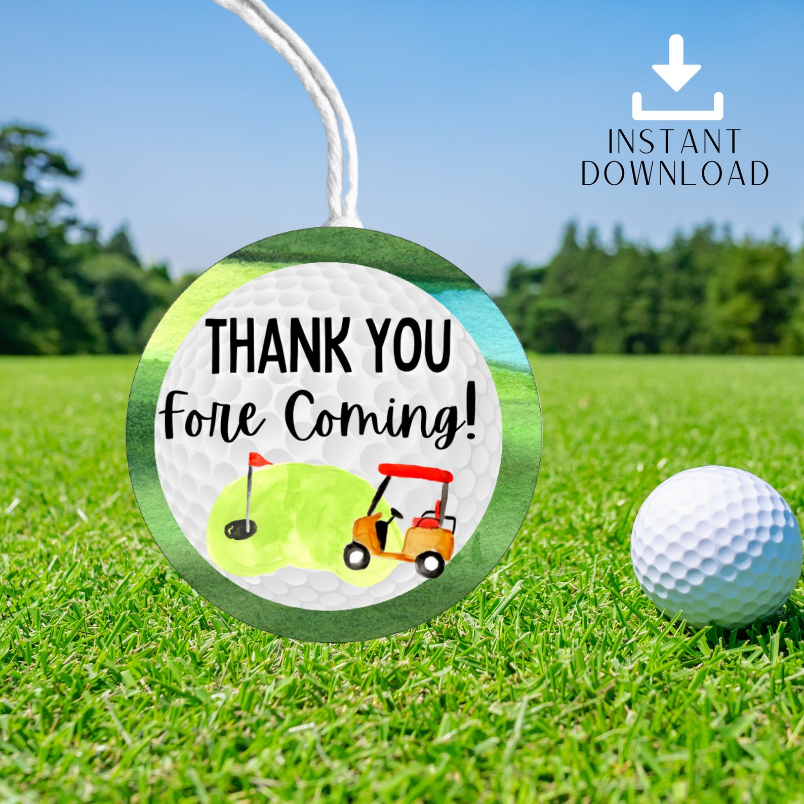Printable Golf Birthday Party Favor Tag Golf Gift Tag Golf - Etsy