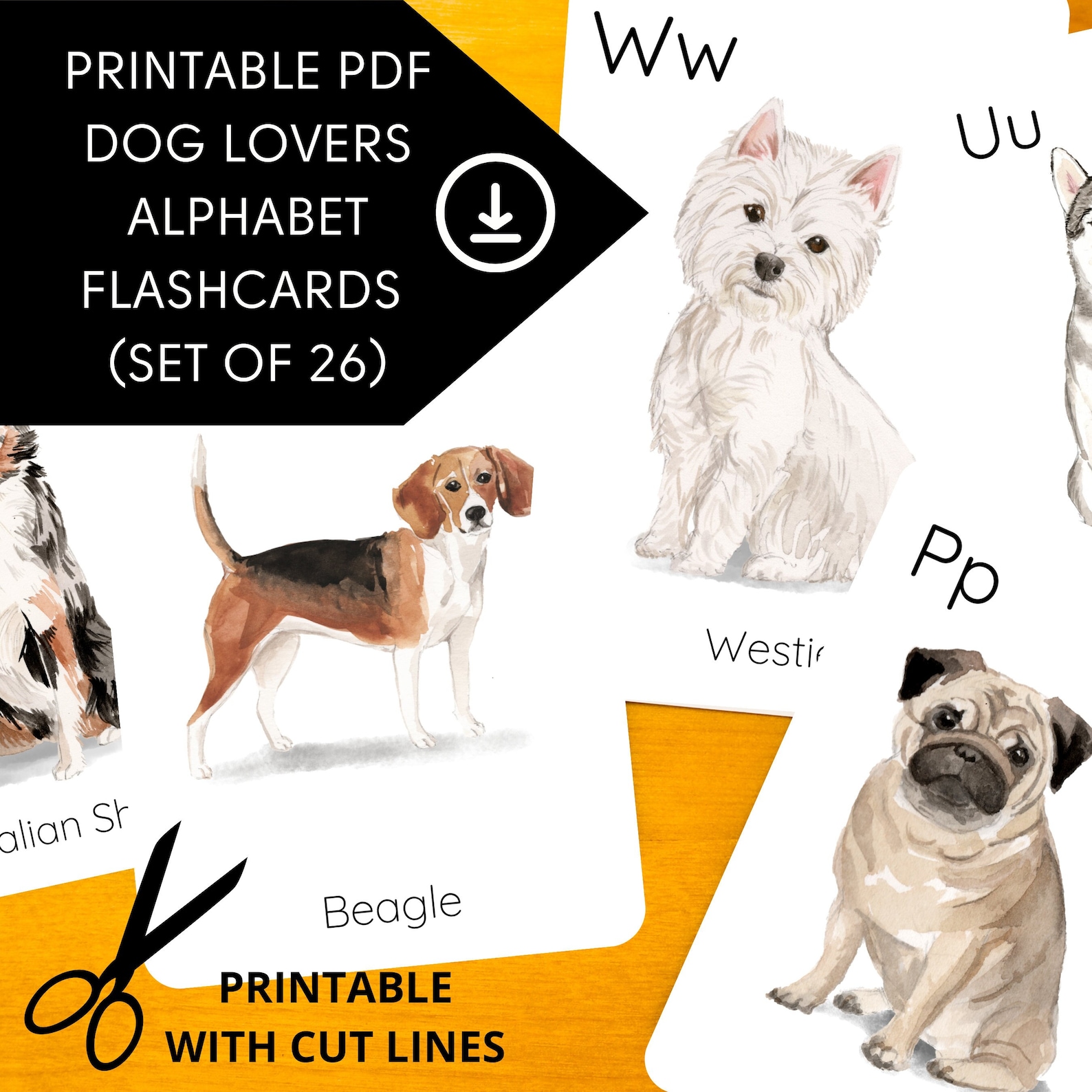 Alphabet Flashcards Printable Dog Breed Flashcards - Etsy