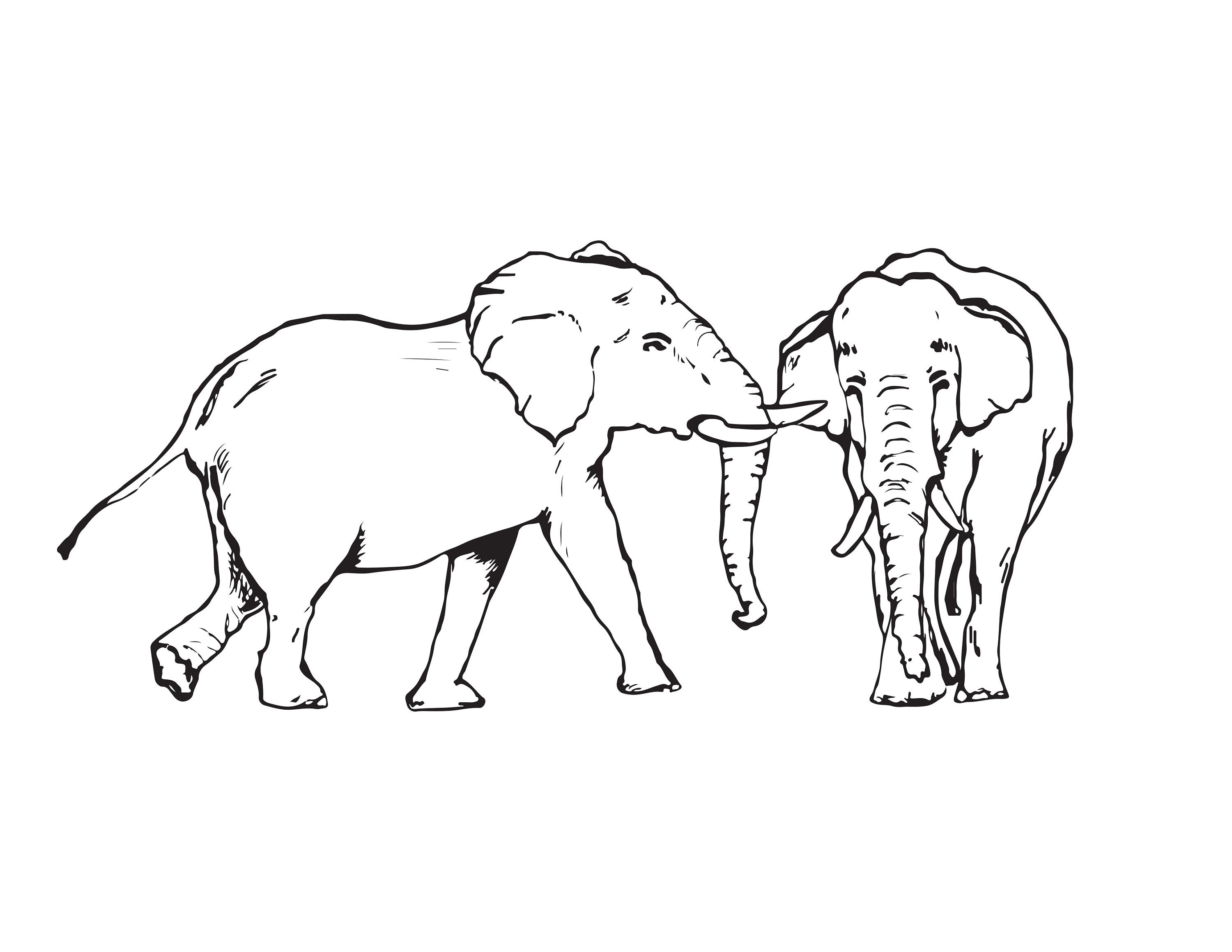 Digital Download, Printable Art -two Loving Elephants, Line Drawing - Etsy