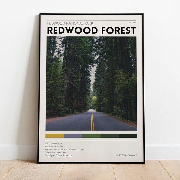 Redwood Forest Poster - Etsy