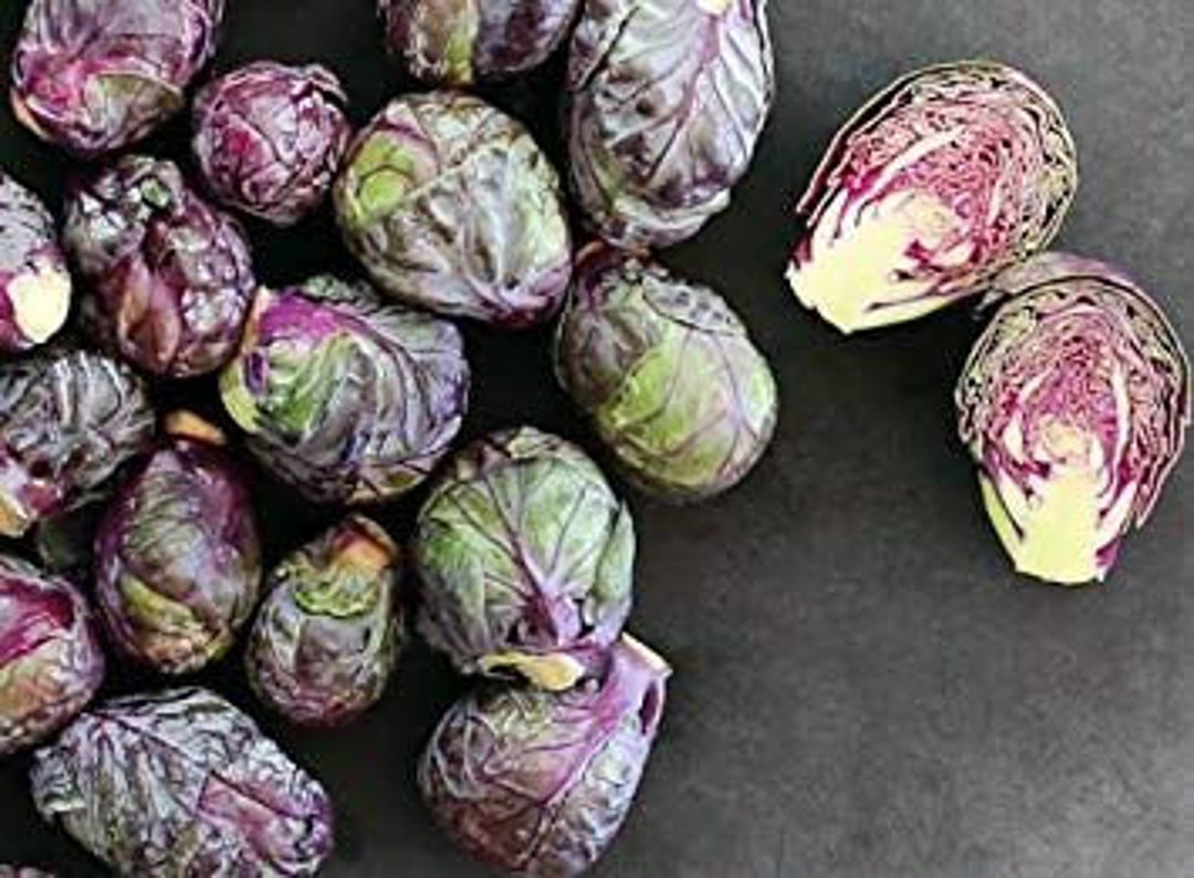 ROTE RUBINE Rosenkohl Samen Erbstück Gemüsesamen - Etsy.de