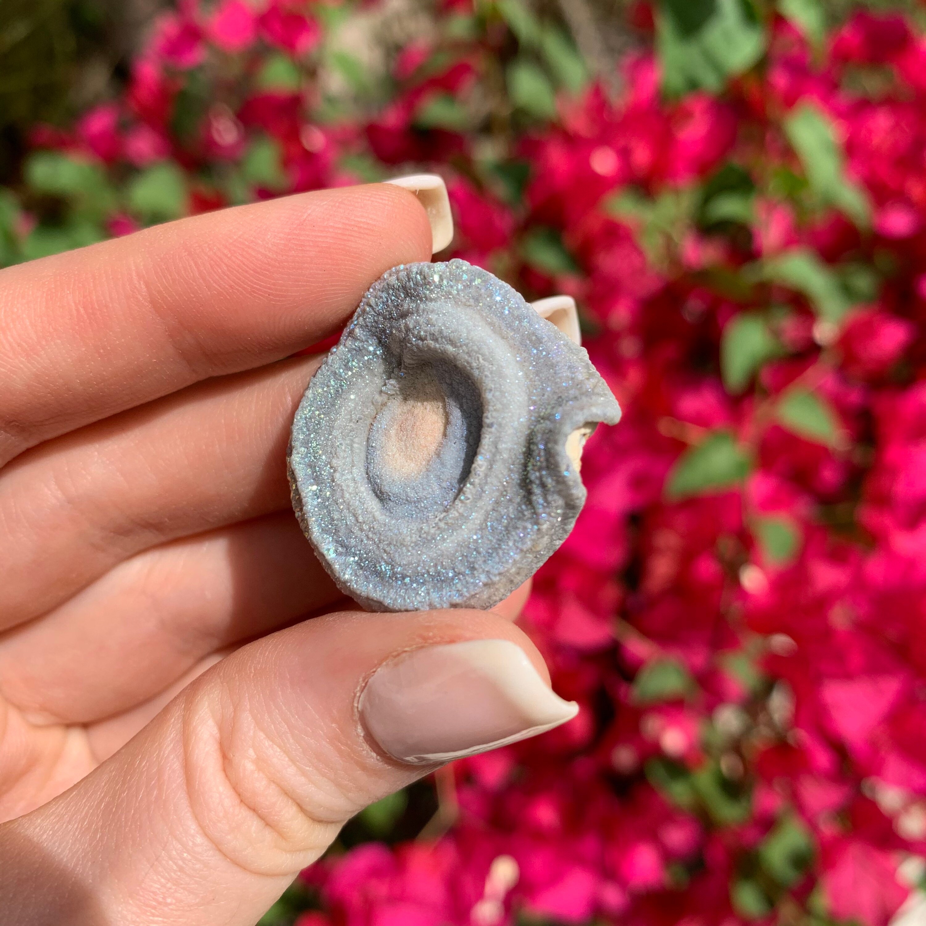 Raw Blue Chalcedony Rose Angel Aura Coated Chalcedony Rose | Etsy