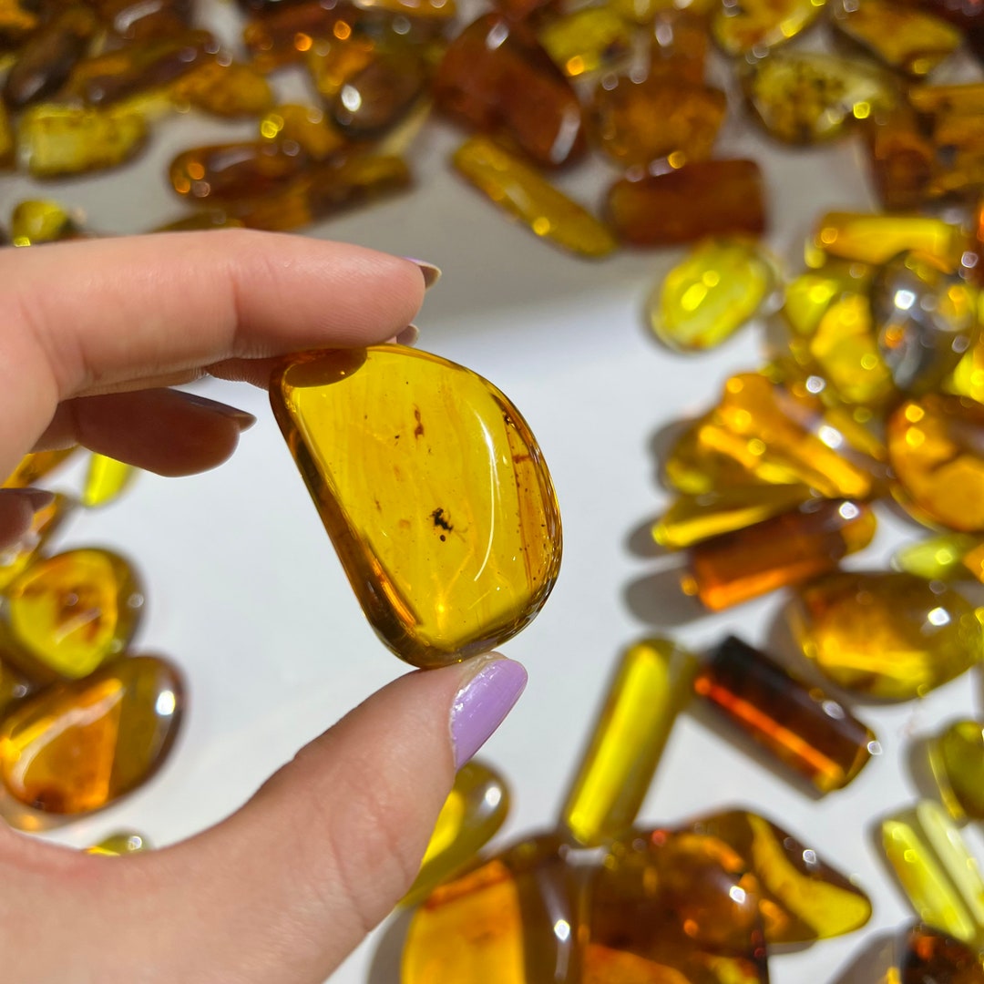 Amber With Insect, Amber With Bug, Genuine Amber Stone, Colombian Amber ...