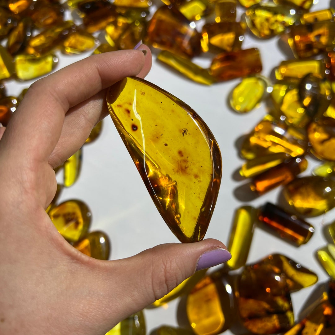 Amber With Insect, Amber With Bug, Genuine Amber Stone, Colombian Amber ...