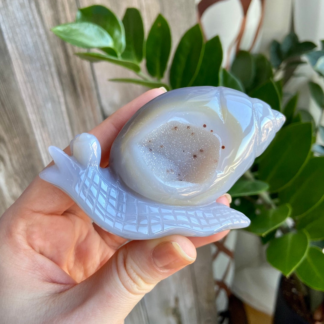 Druzy Agate Snail Carving, Banded Agate Snail, Druzy Agate Crystal ...