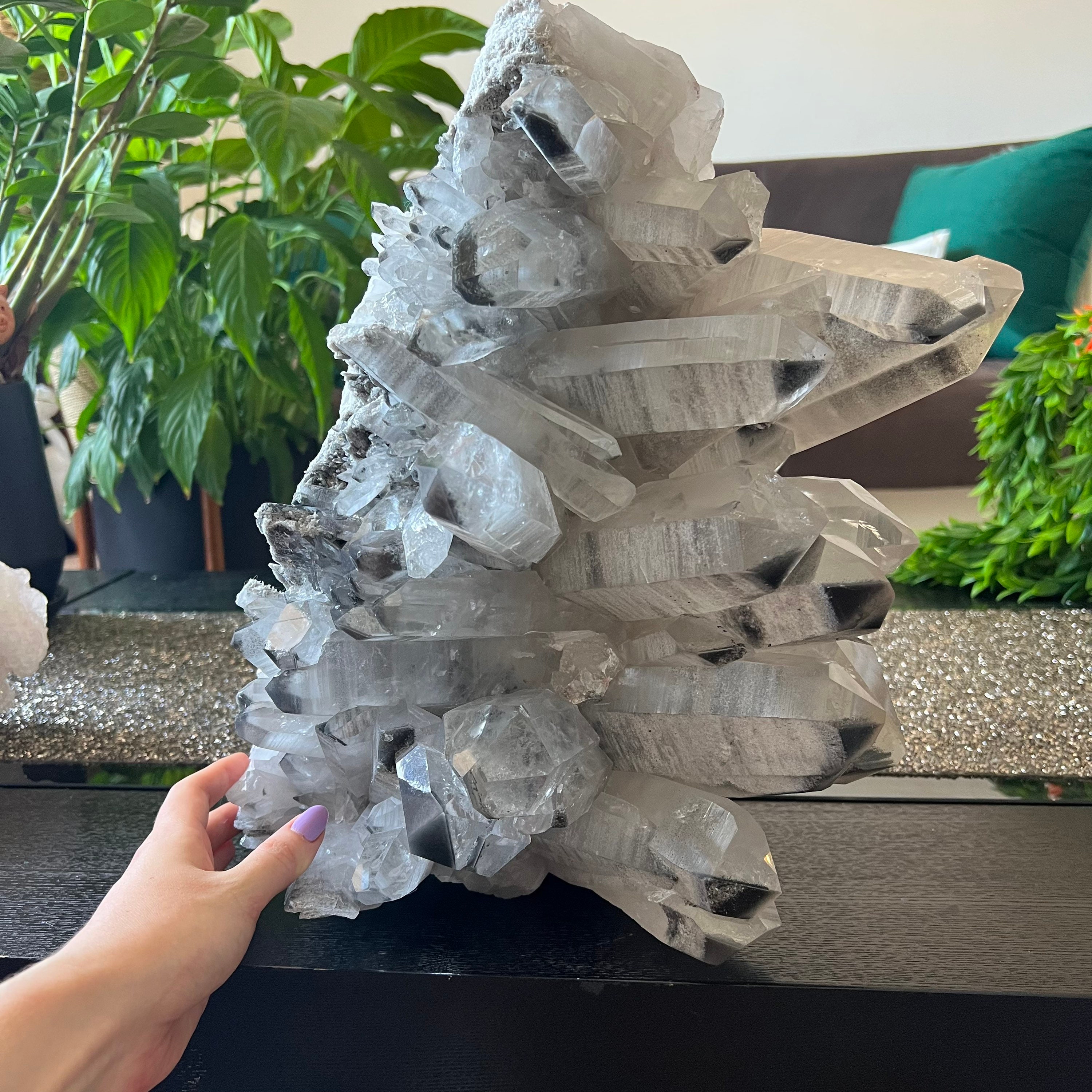 Black Phantom Quartz Black Phantom Quartz Cluster RARE HUGE - Etsy