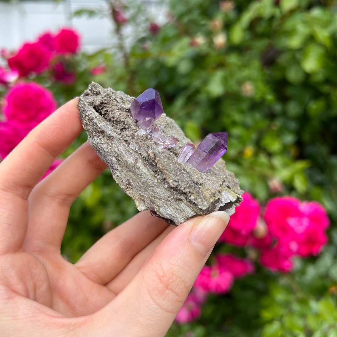 Vera Cruz Amethyst, Raw Amethyst Specimen, Amethyst Cluster Point, Vera ...