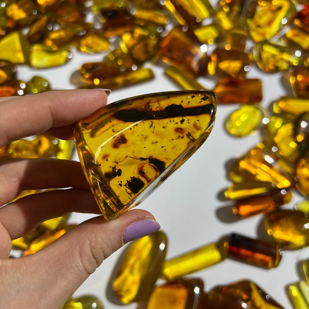 Natural Amber Stone, Amber With Insect, Amber With Bug, Genuine Amber ...