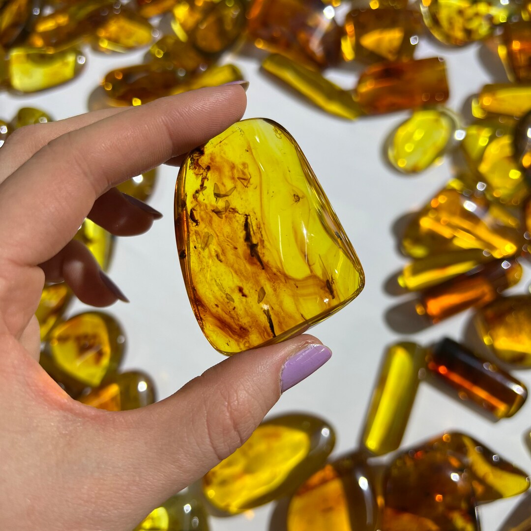Amber With Insect, Amber With Bug, Genuine Amber Stone, Colombian Amber ...