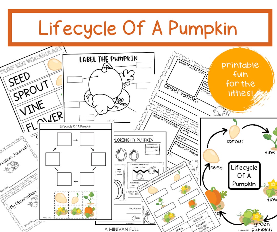 PRINTABLE LIFECYCLE of a PUMPKIN - Etsy