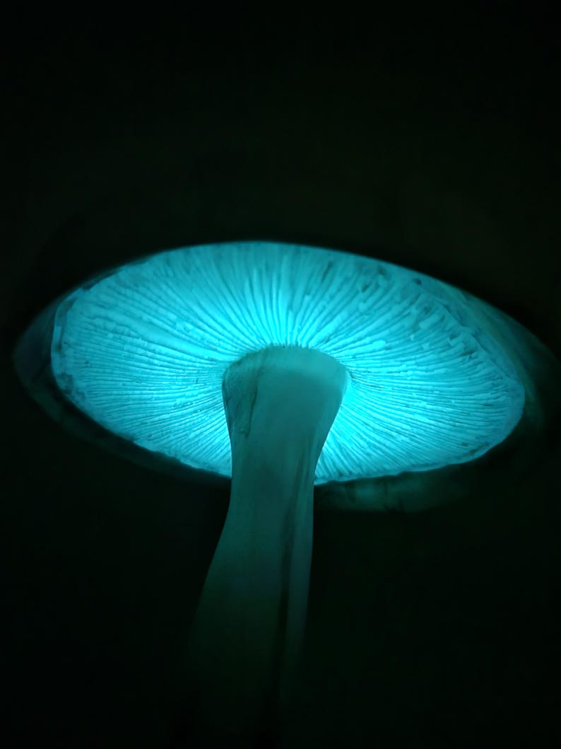 Glowing Wooden Mushroom Table Lamp Glow in the Dark Toadstool Night ...