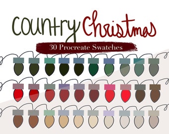 Procreate Color Palette Color Swatches Festive Christmas - Etsy