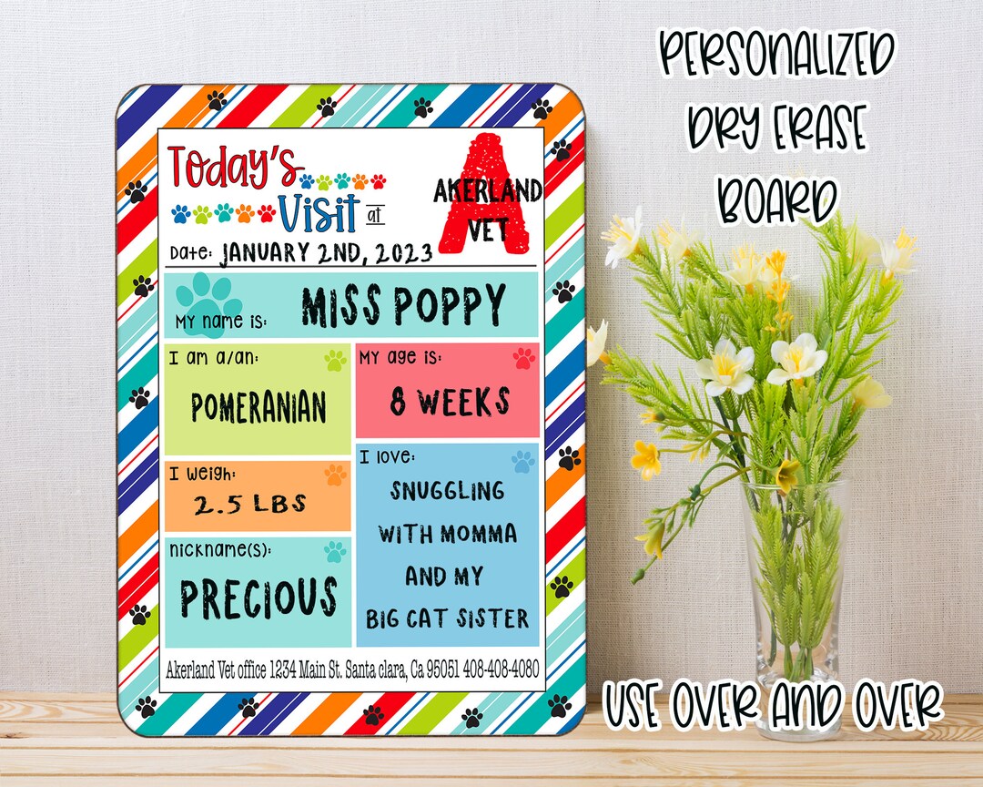 Today's Vet Visit Primary Colors Custom Vet Office Sign Puppy's First ...