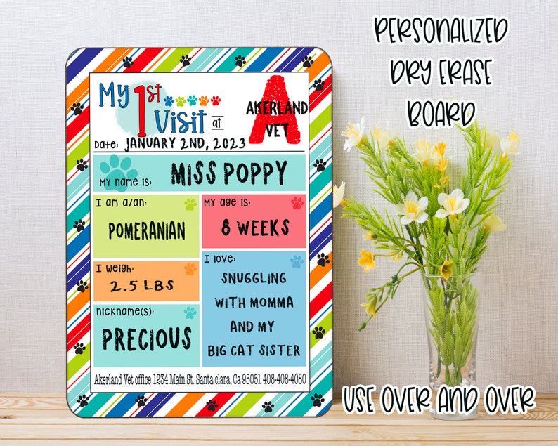 My First Vet Visit Primary Colors Custom Vet Office Sign - Etsy