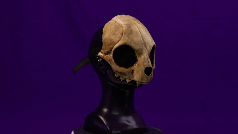 Cat Skull Mask Etsy