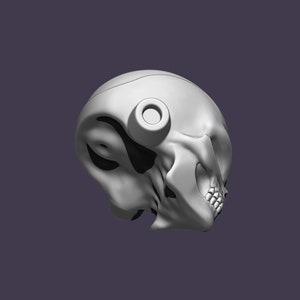 Skull Friez a Dbz Inspired 3D Printable Model STL - Etsy