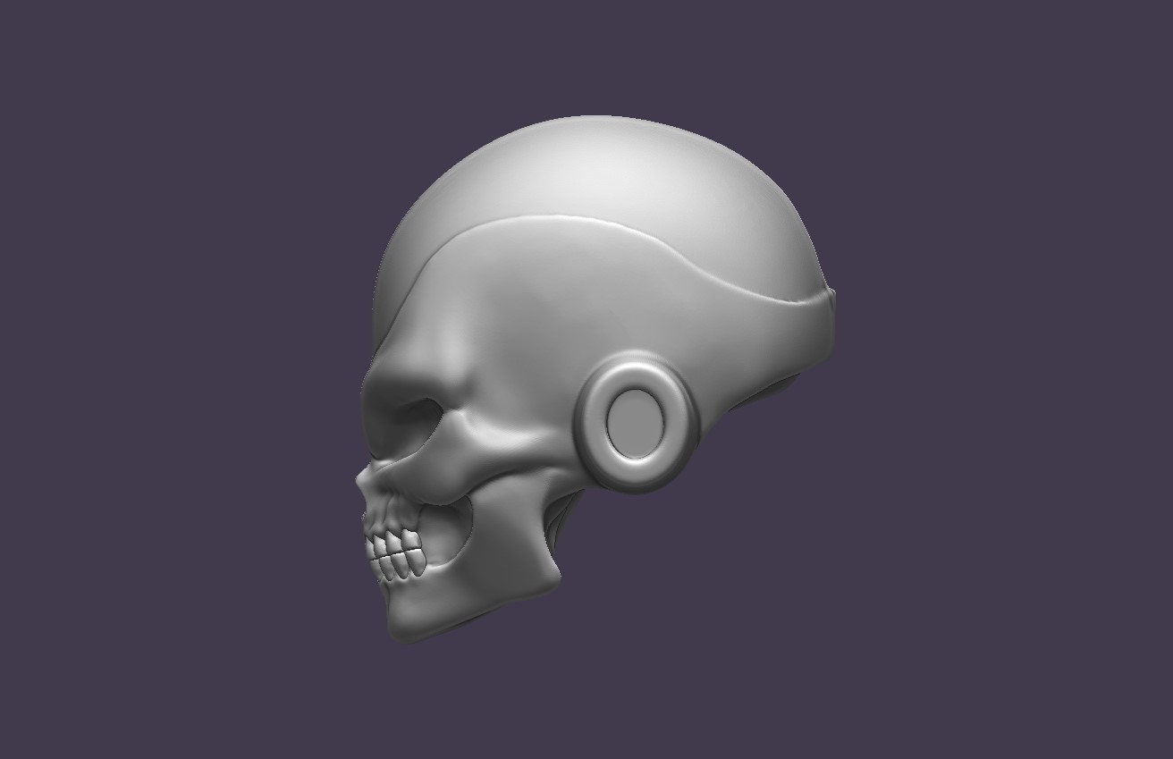 Skull Friez a Dbz Inspired 3D Printable Model STL - Etsy