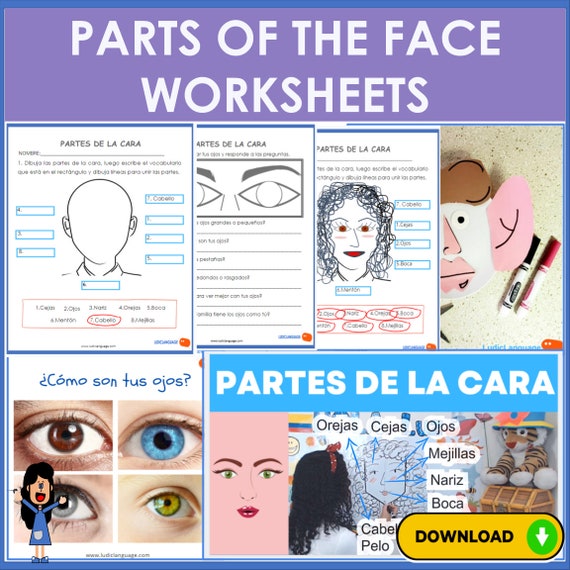 Parts Of The Face In Spanish