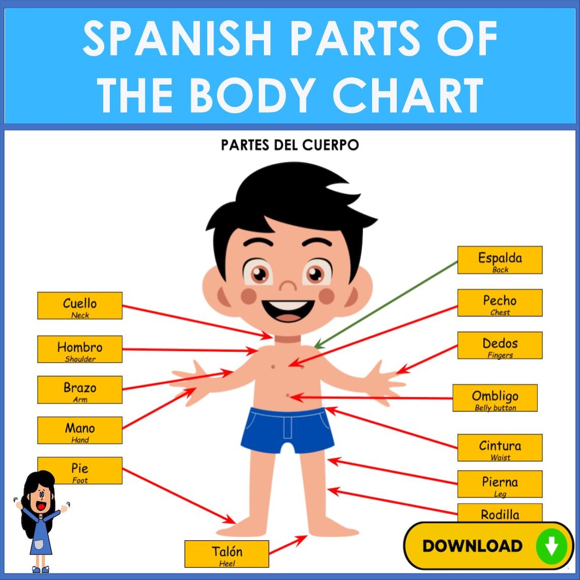 Spanish Parts of the Body Chart - Etsy