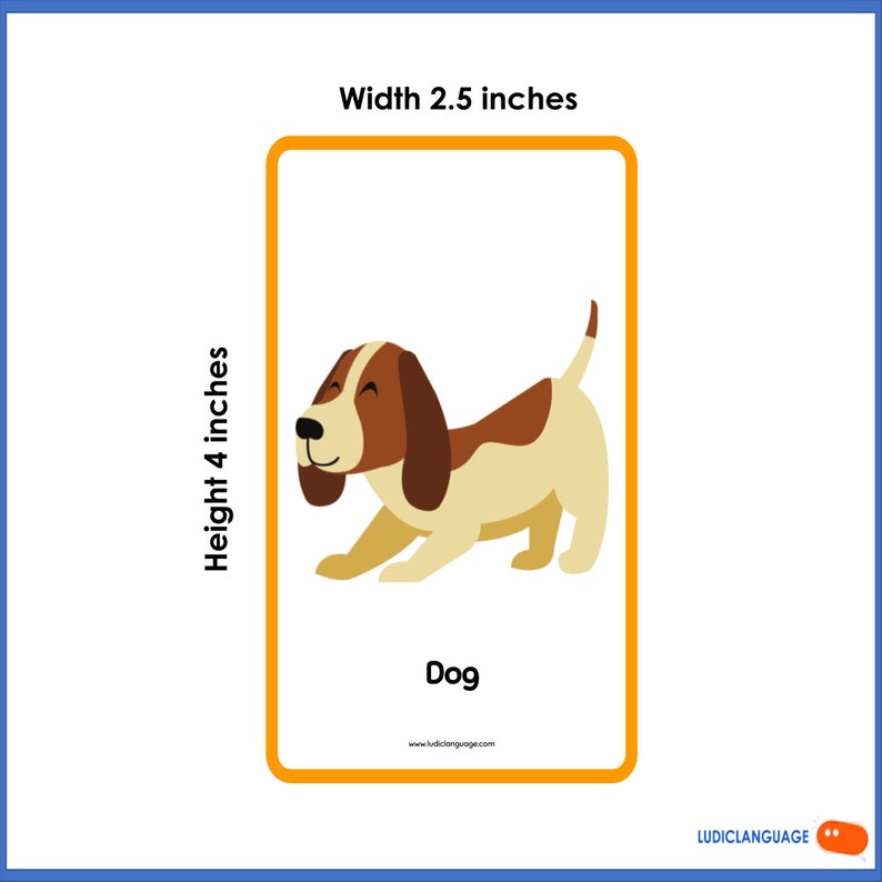 Bilingual Vowels and Alphabet Flashcards - Etsy